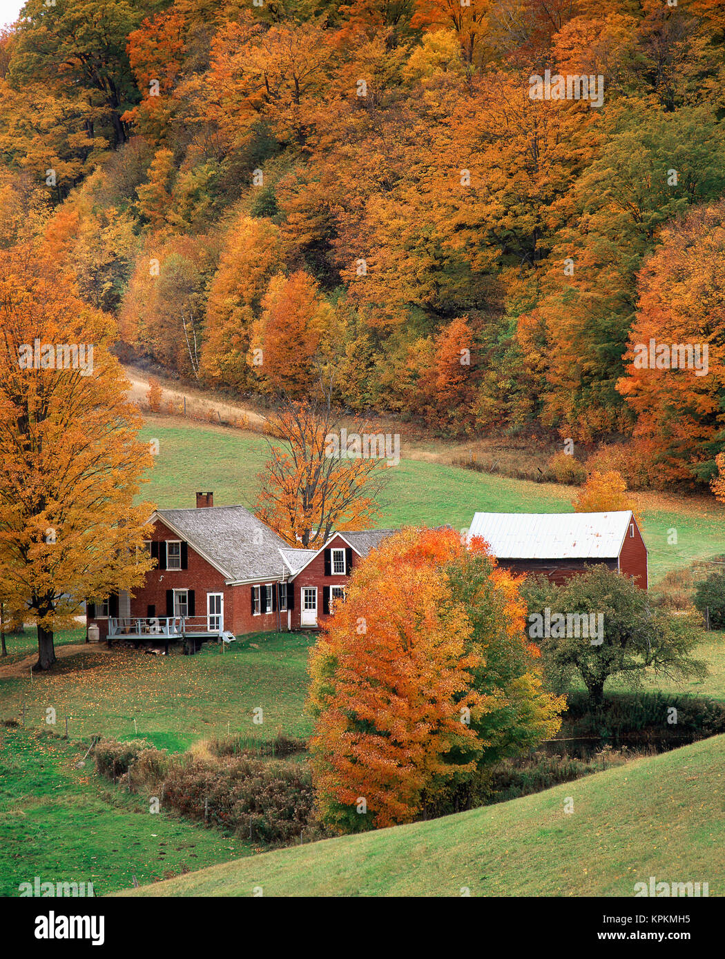 Jenne farm in reading vermont hi-res stock photography and images - Alamy