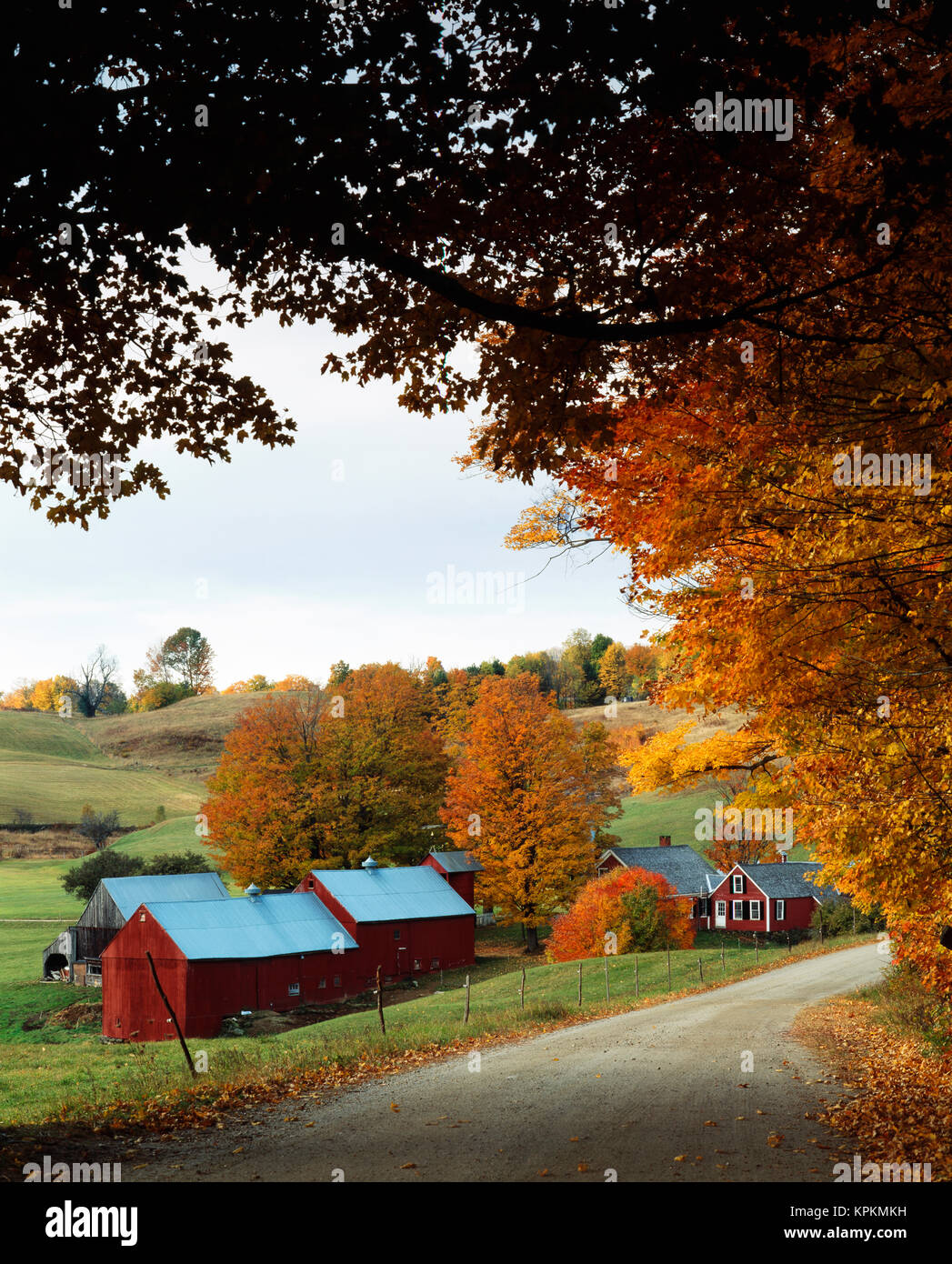 Jenne farm in reading vermont hi-res stock photography and images - Alamy
