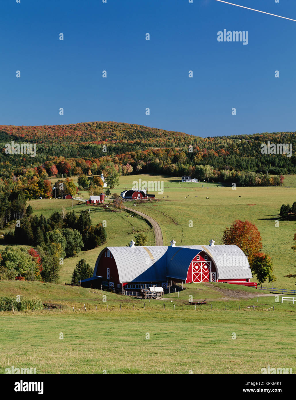 Vermont, Irasburg, Northeast Kingdom, The diamond heart farm (Large ...