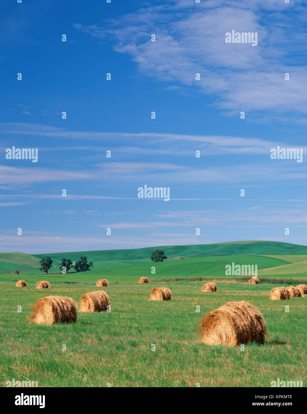 USA, Eastern Washington, Hay bales and clouds (Large format sizes ...