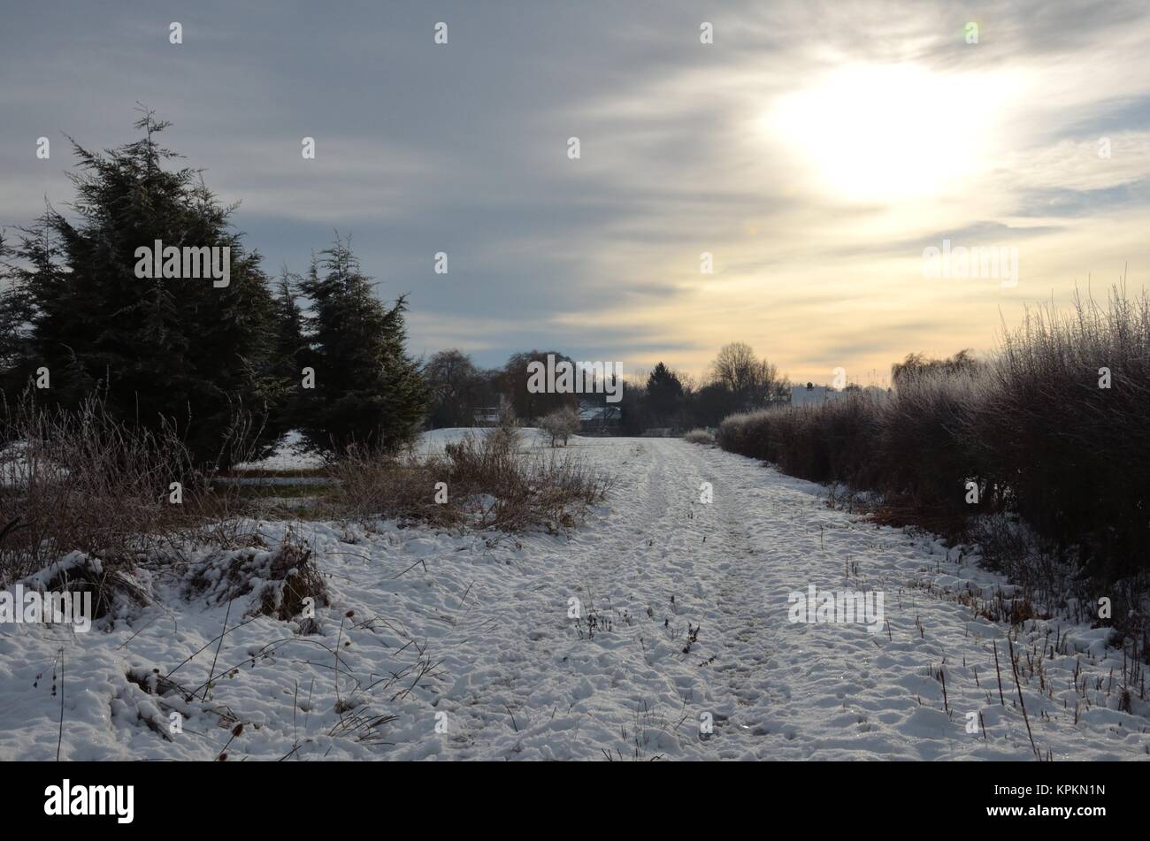 Weak winter sun hi-res stock photography and images - Alamy