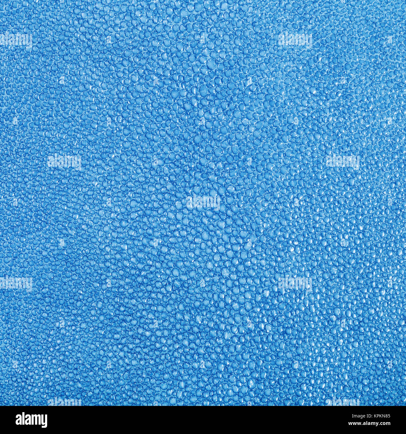 blue painted texture of stingray skin Stock Photo - Alamy