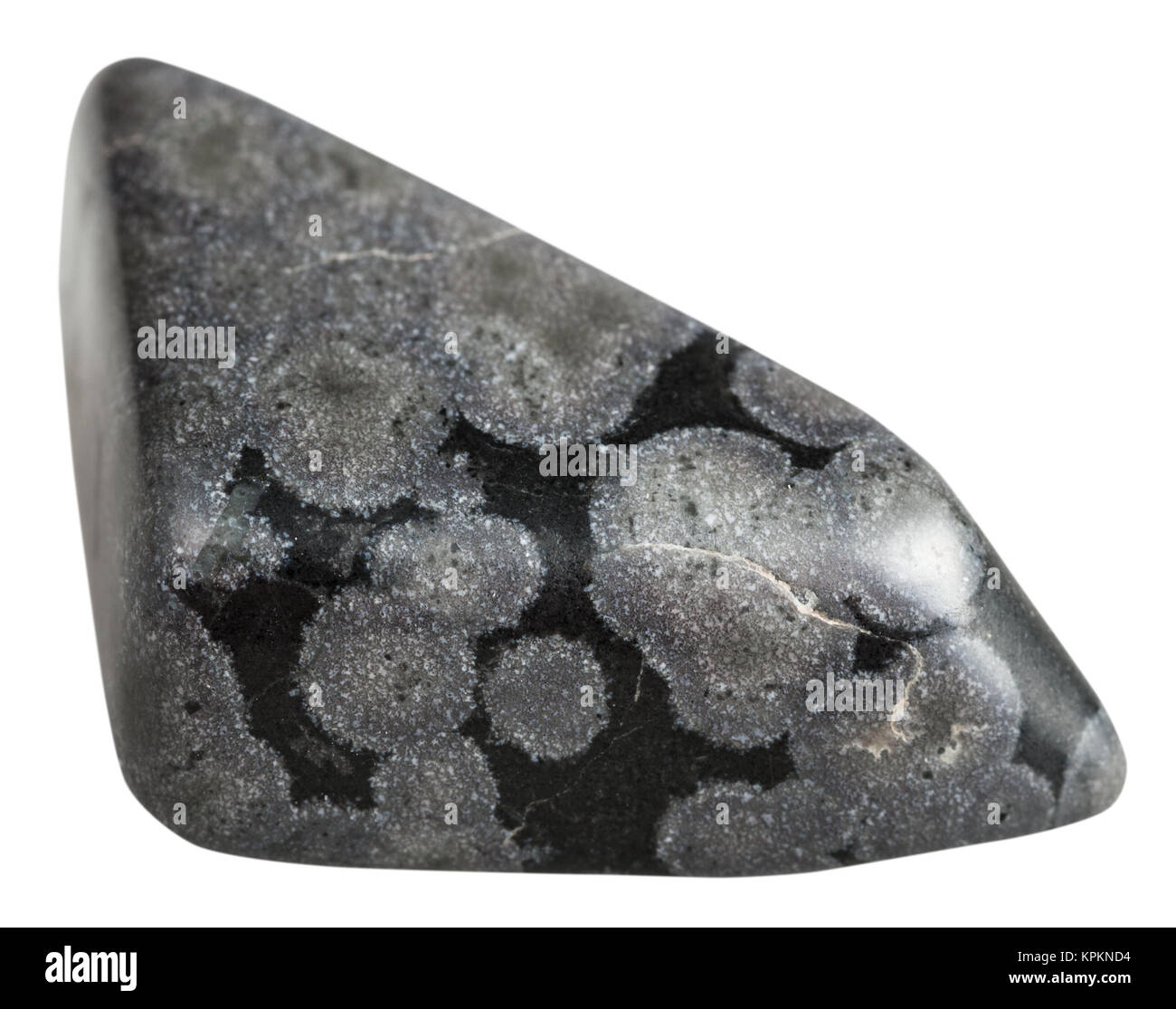 tumbled Variolite mineral gem stone isolated Stock Photo - Alamy