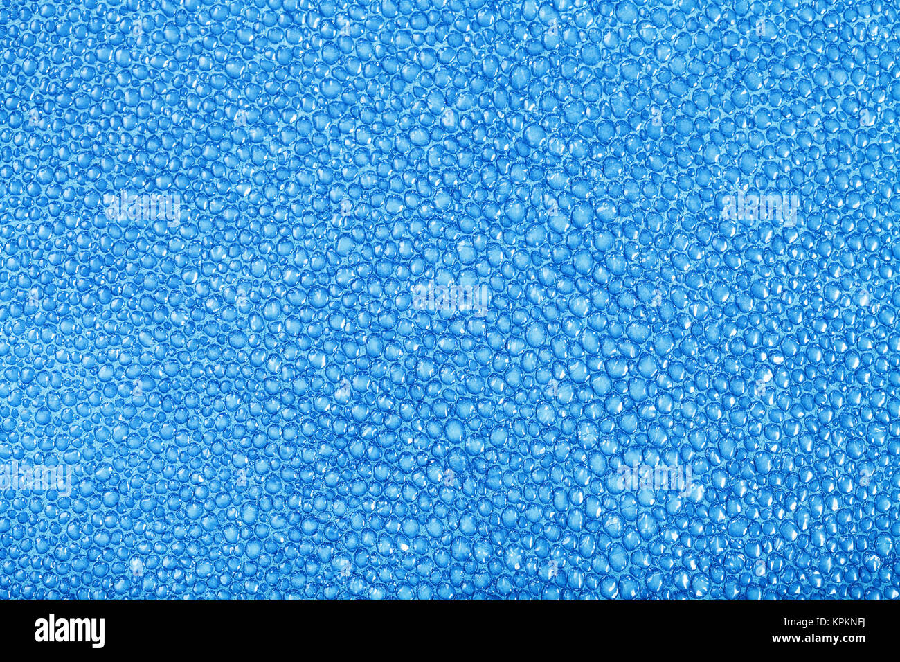 painted texture of natural stingray skin Stock Photo - Alamy