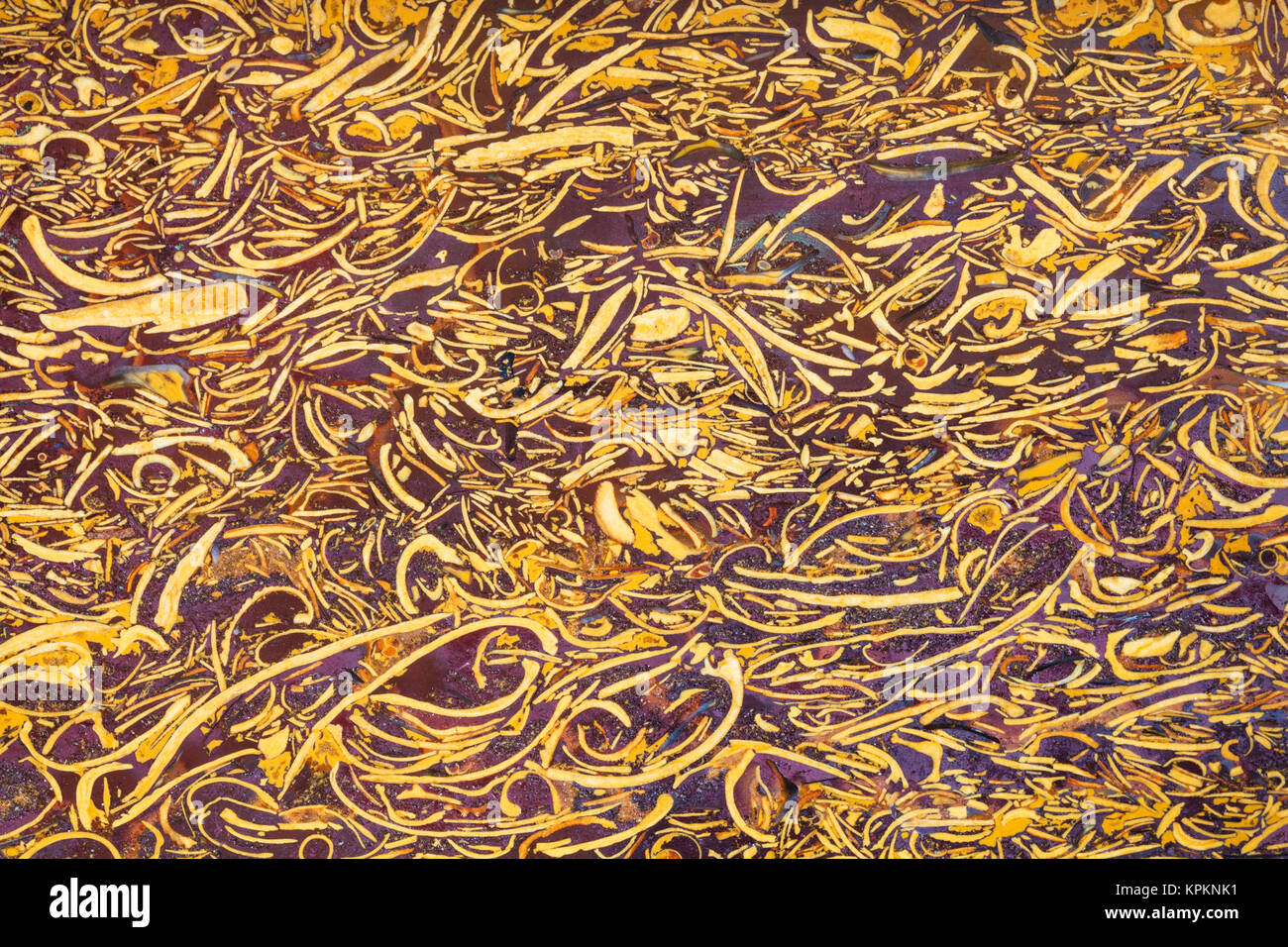 surface of natural gem stone Sea Fossil Jasper Stock Photo - Alamy