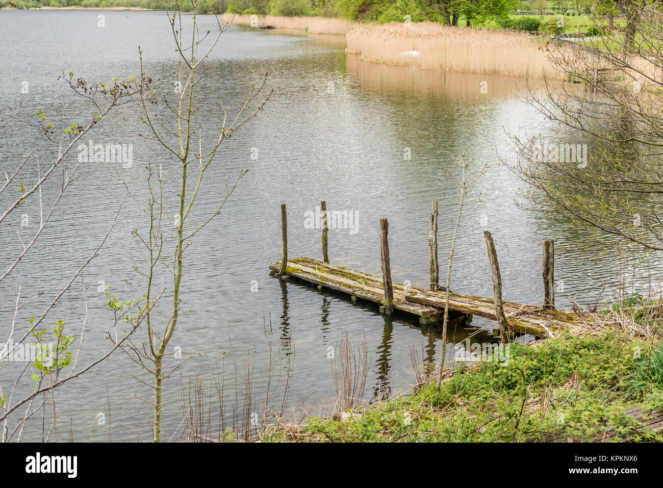 Old wooden jetty in Lake District, England Stock Photo - Alamy
