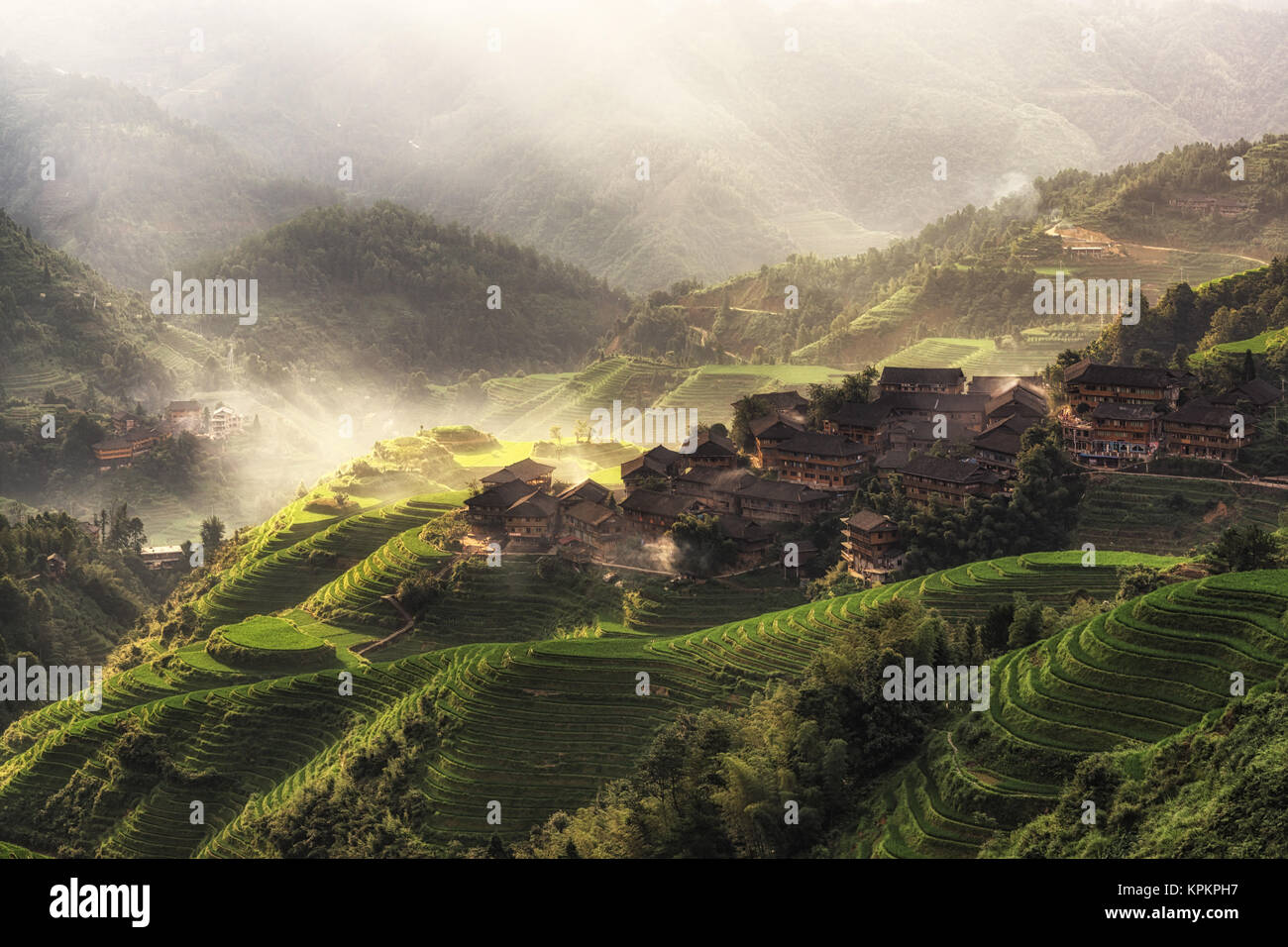 longji rice terrace Stock Photo - Alamy