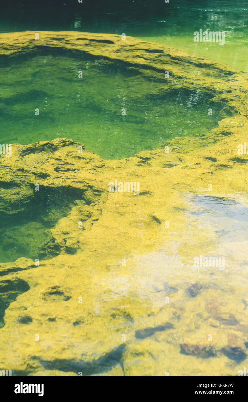 Rock formations at the bottom of a river with transparent green water ...