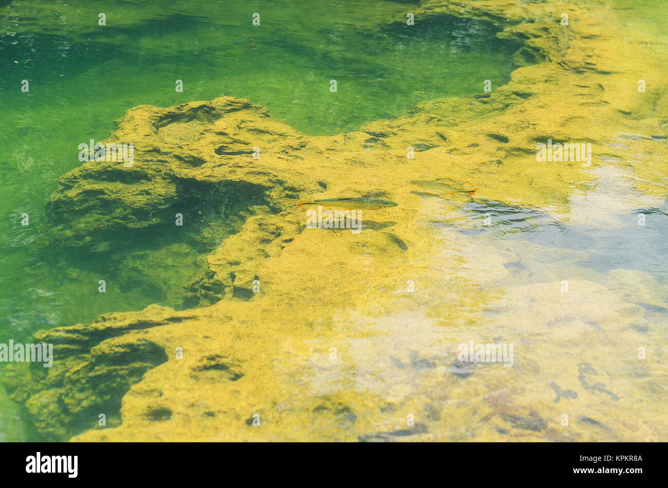 Bonito river hi-res stock photography and images - Alamy