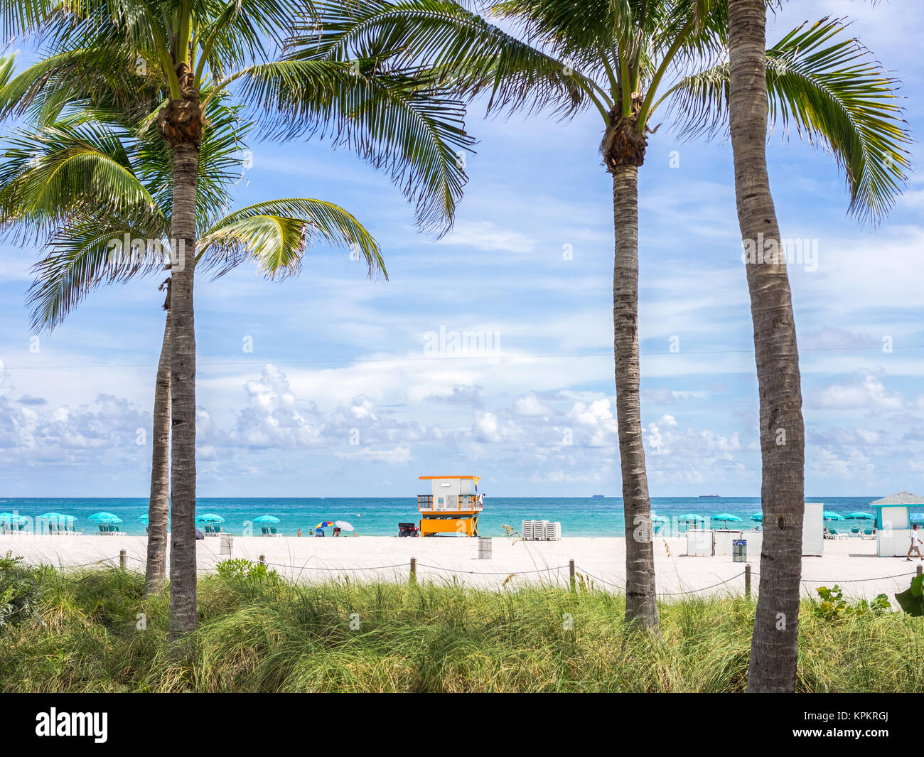 Morning in Miami Beach Stock Photo - Alamy