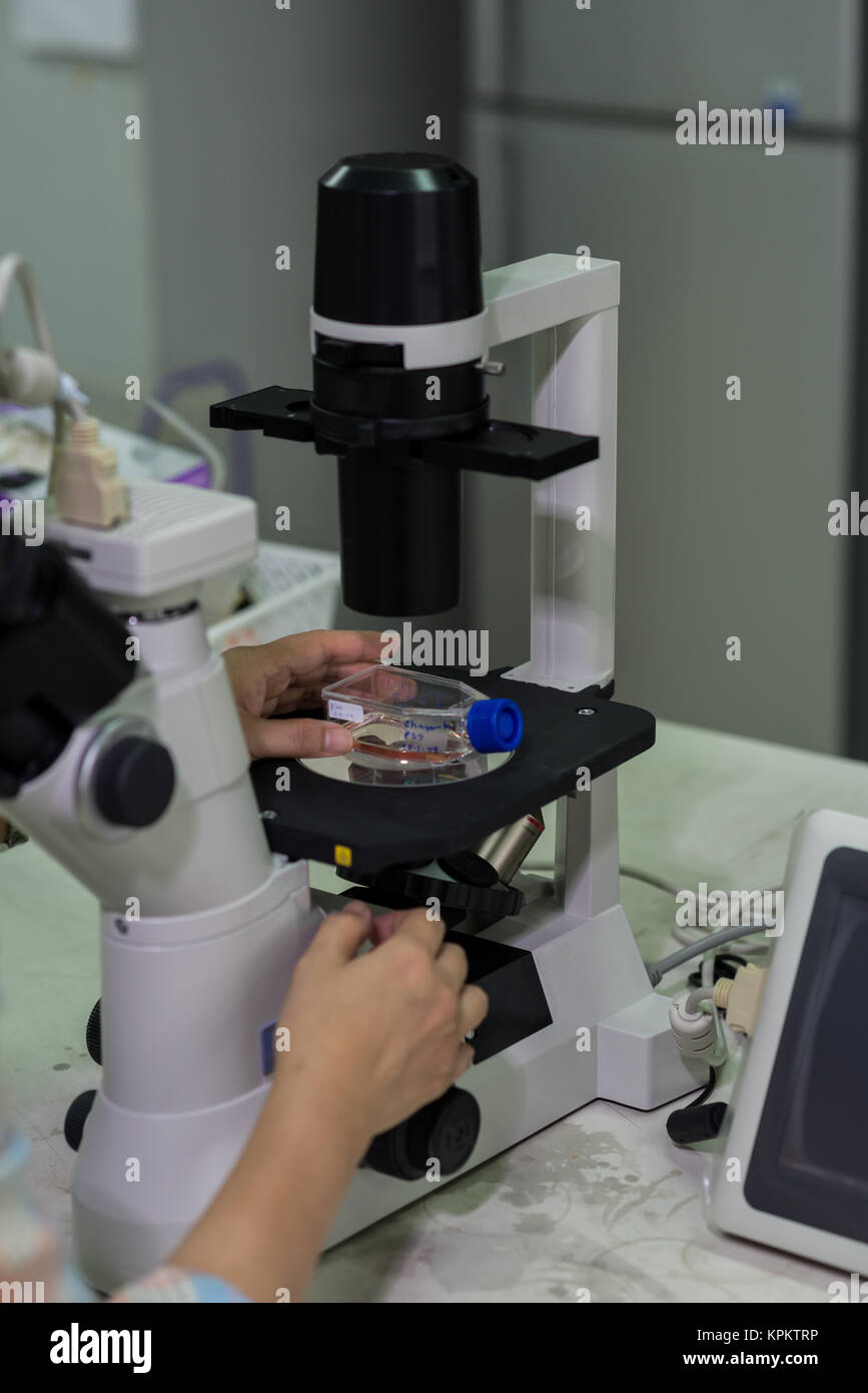 Specimen under observation hi-res stock photography and images - Alamy