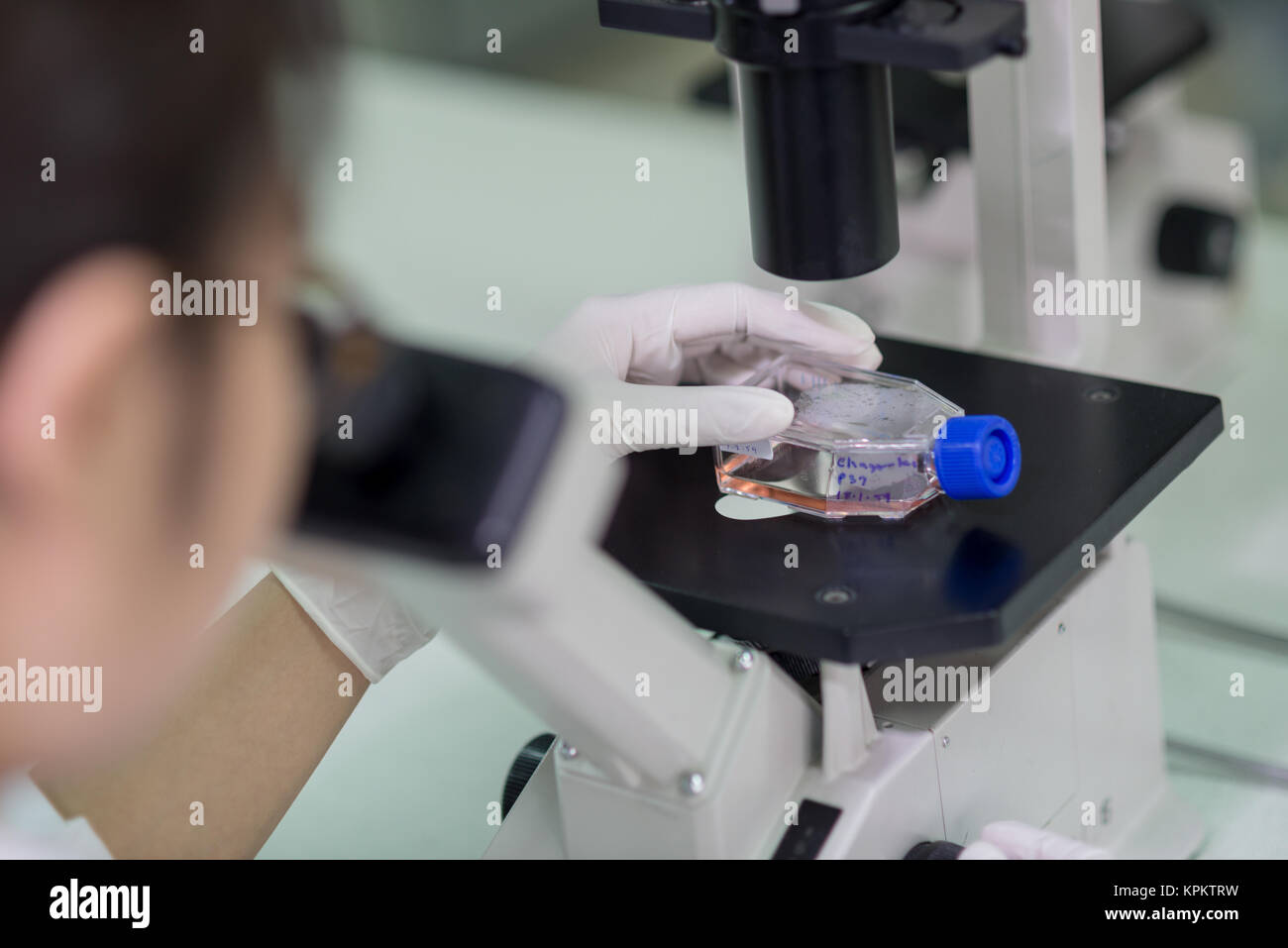 Observation under microscope hi-res stock photography and images - Alamy