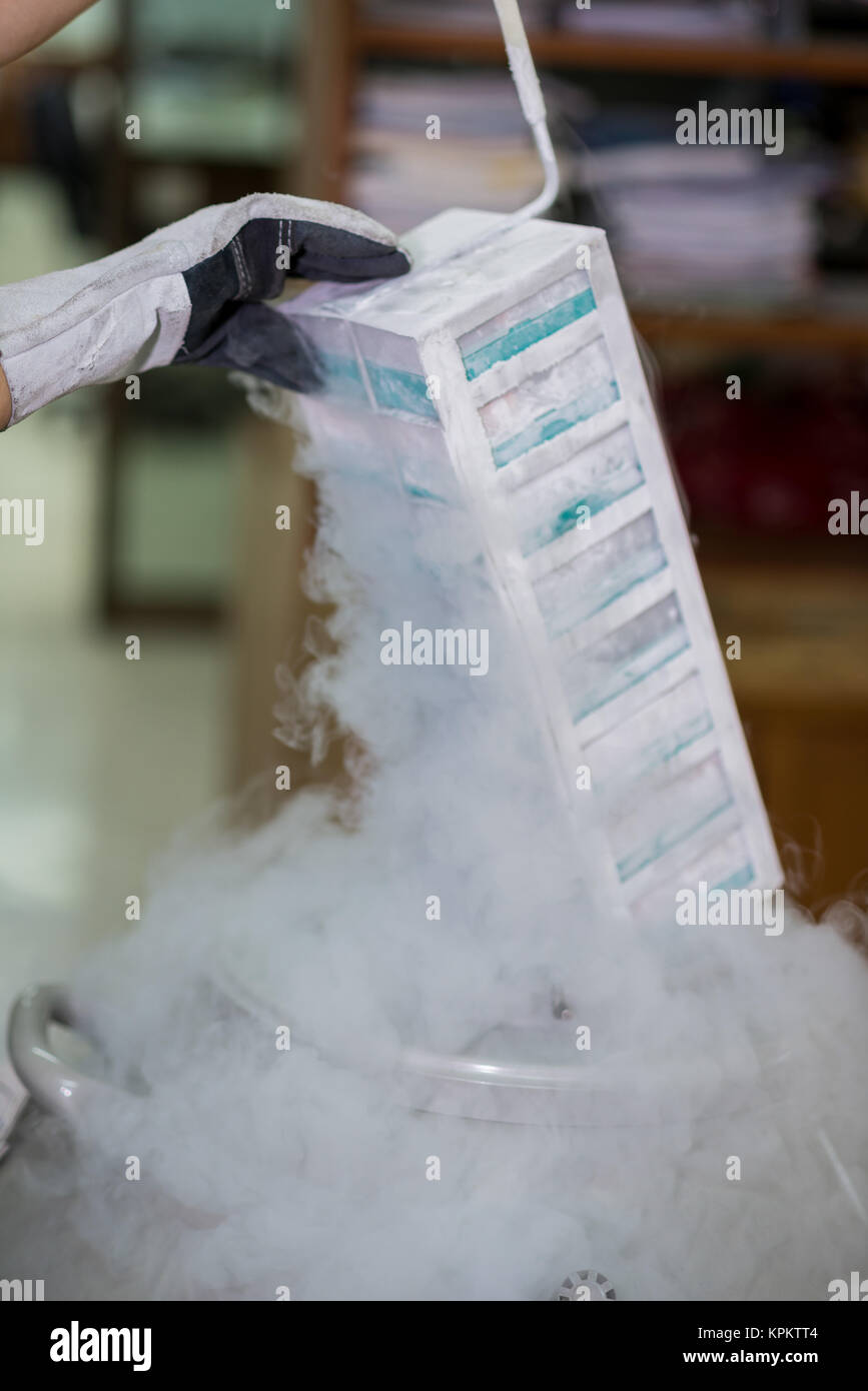 Technician removing specimens from freezer Stock Photo - Alamy
