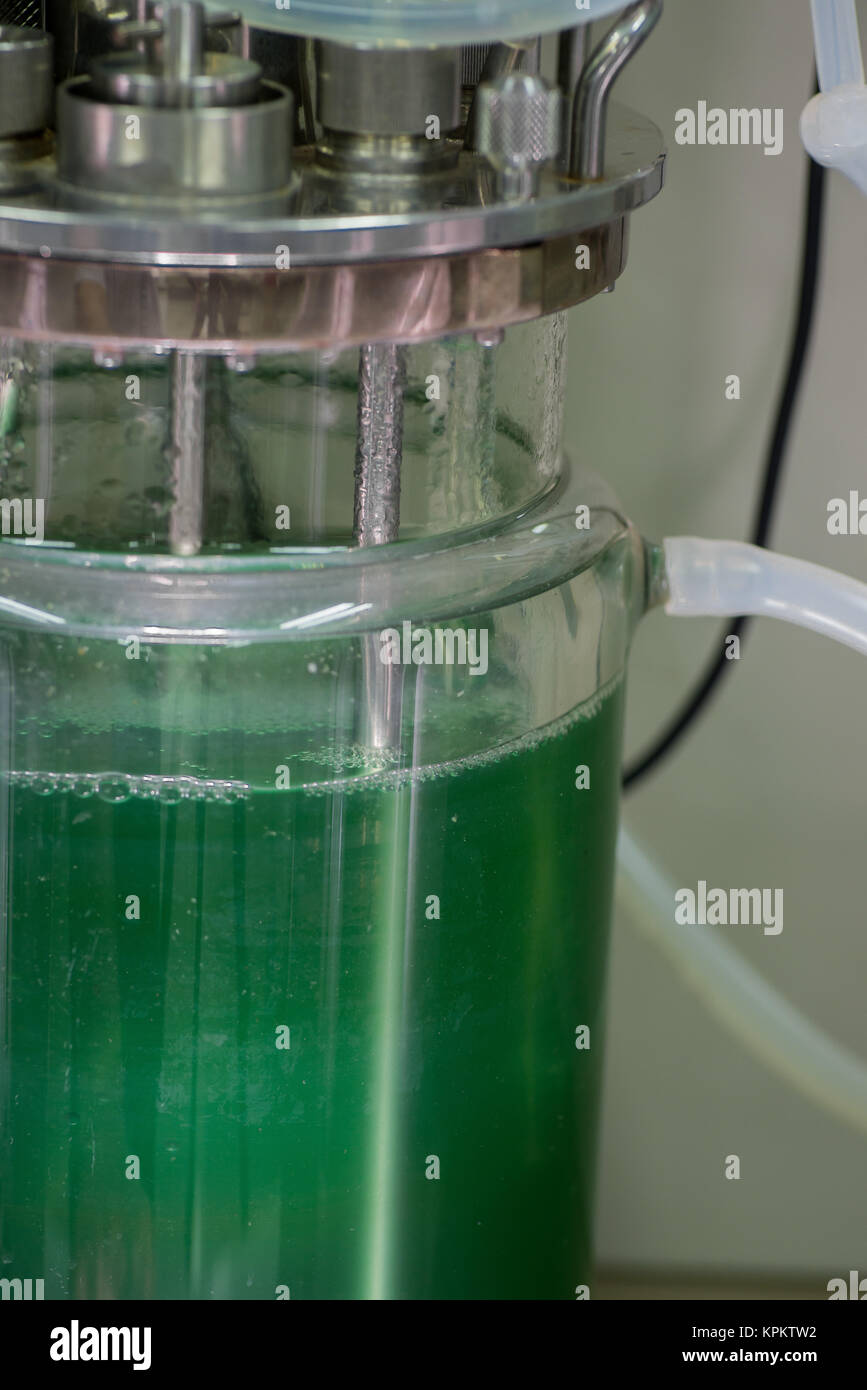 Glass beaker device with tubing for lab Stock Photo - Alamy