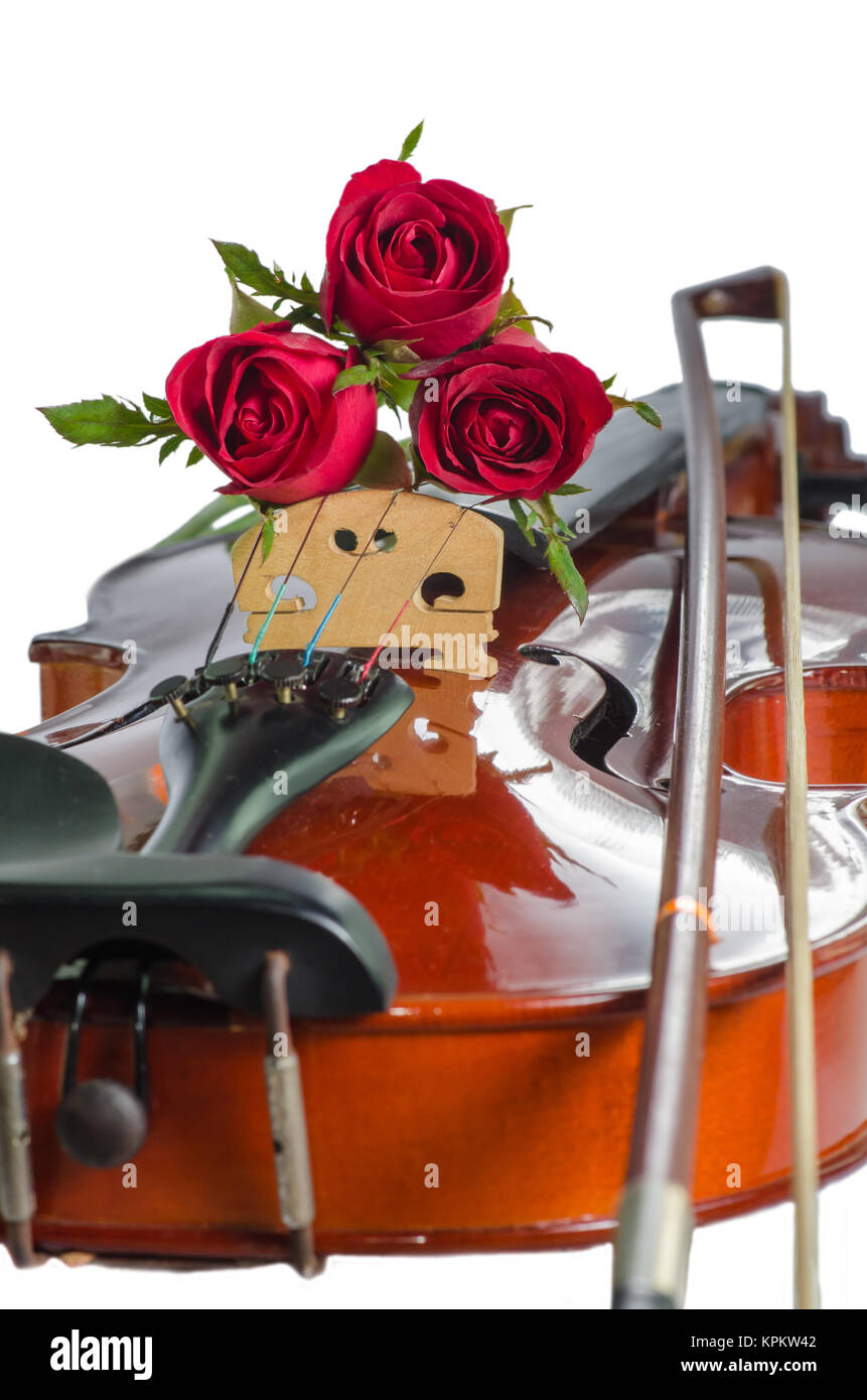 Violin and red roses Stock Photo - Alamy