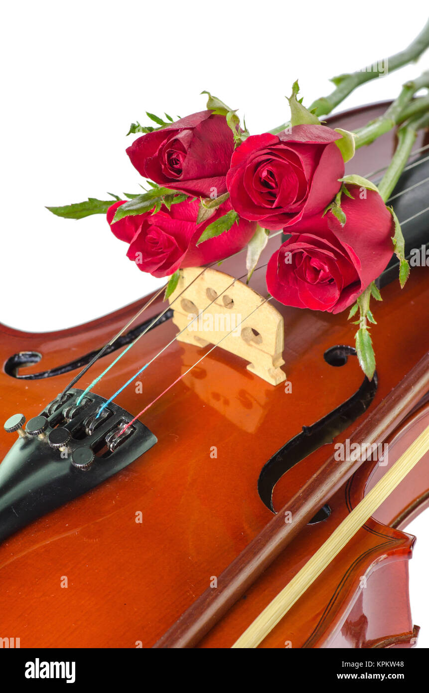 Violin and red roses Stock Photo - Alamy