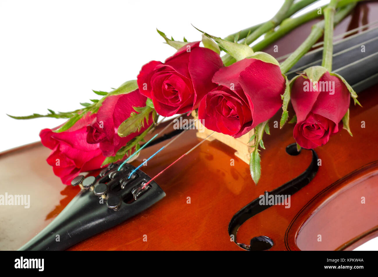 Beautiful roses note in hi-res stock photography and images - Alamy