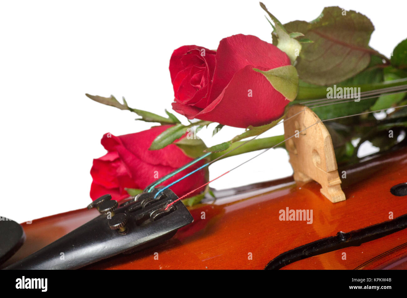 Violin and red roses Stock Photo - Alamy