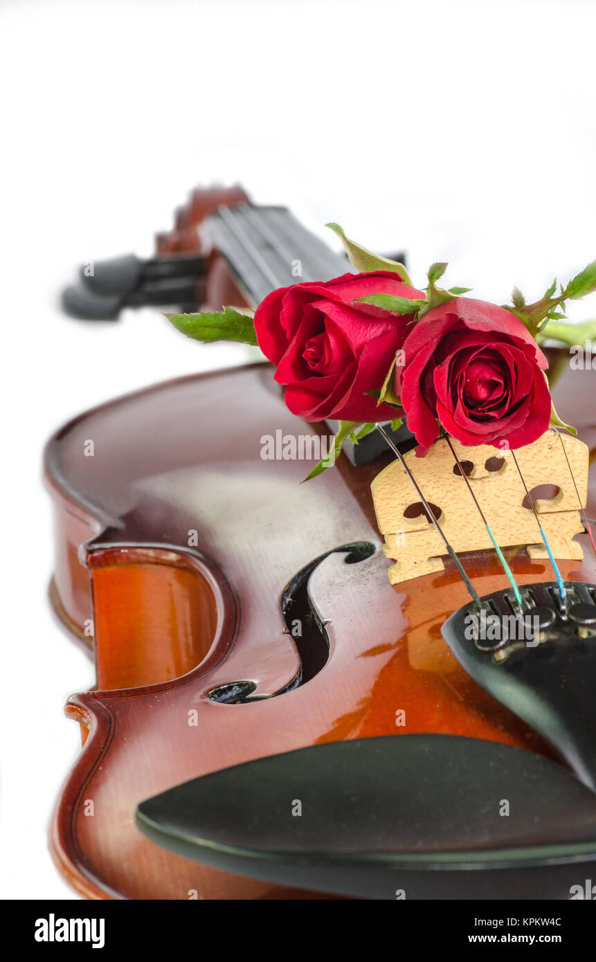 Violin and red roses Stock Photo - Alamy