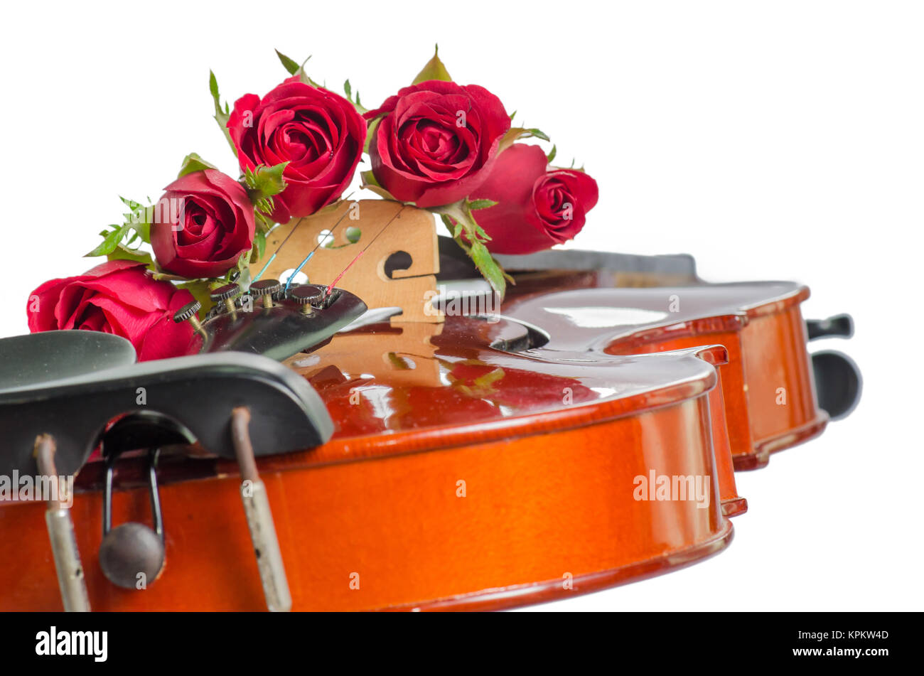 Violin and red roses Stock Photo - Alamy