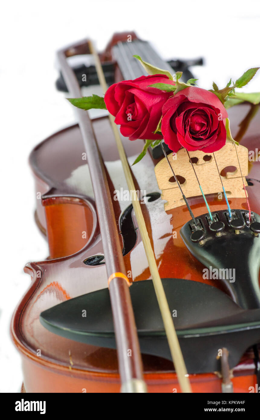 Violin and red roses Stock Photo - Alamy