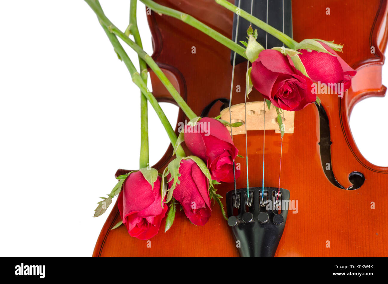 Violin and red roses Stock Photo - Alamy
