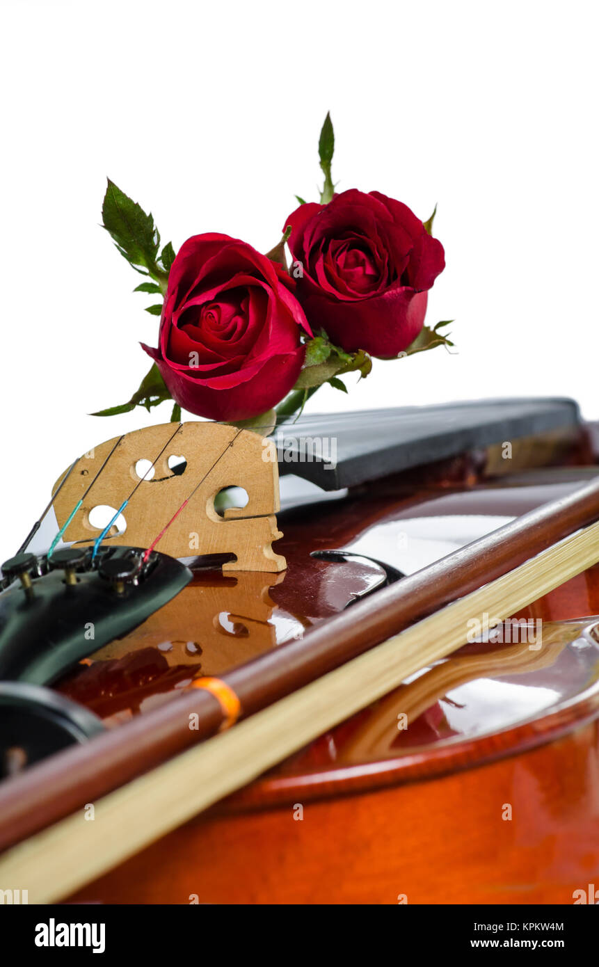 Violin and red roses Stock Photo - Alamy
