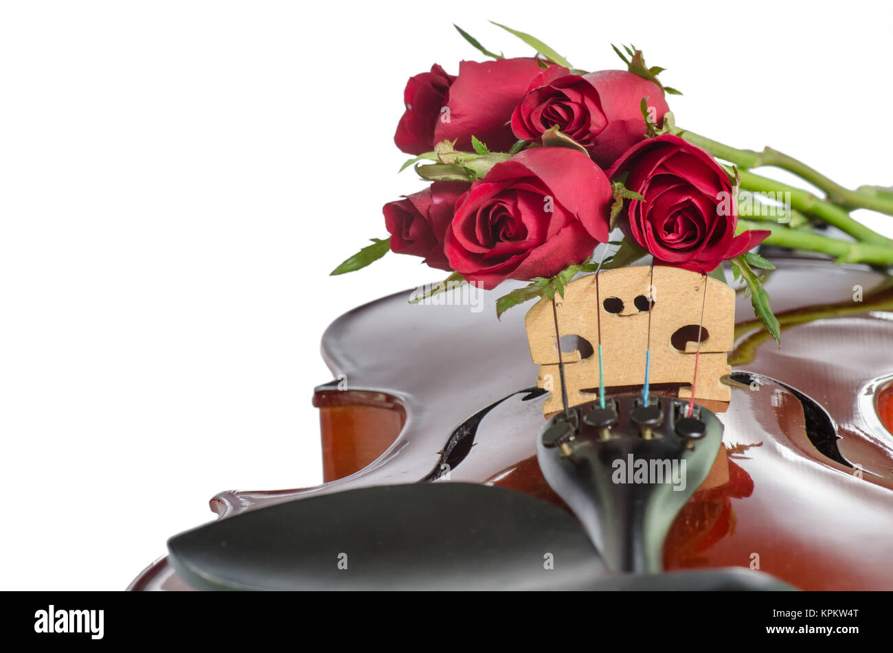 Violin flowers sheet hi-res stock photography and images - Alamy