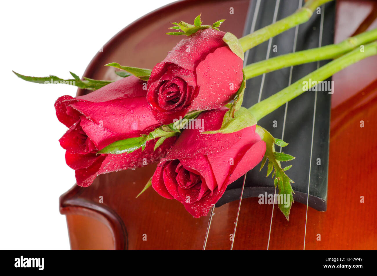 Violin and red roses Stock Photo - Alamy