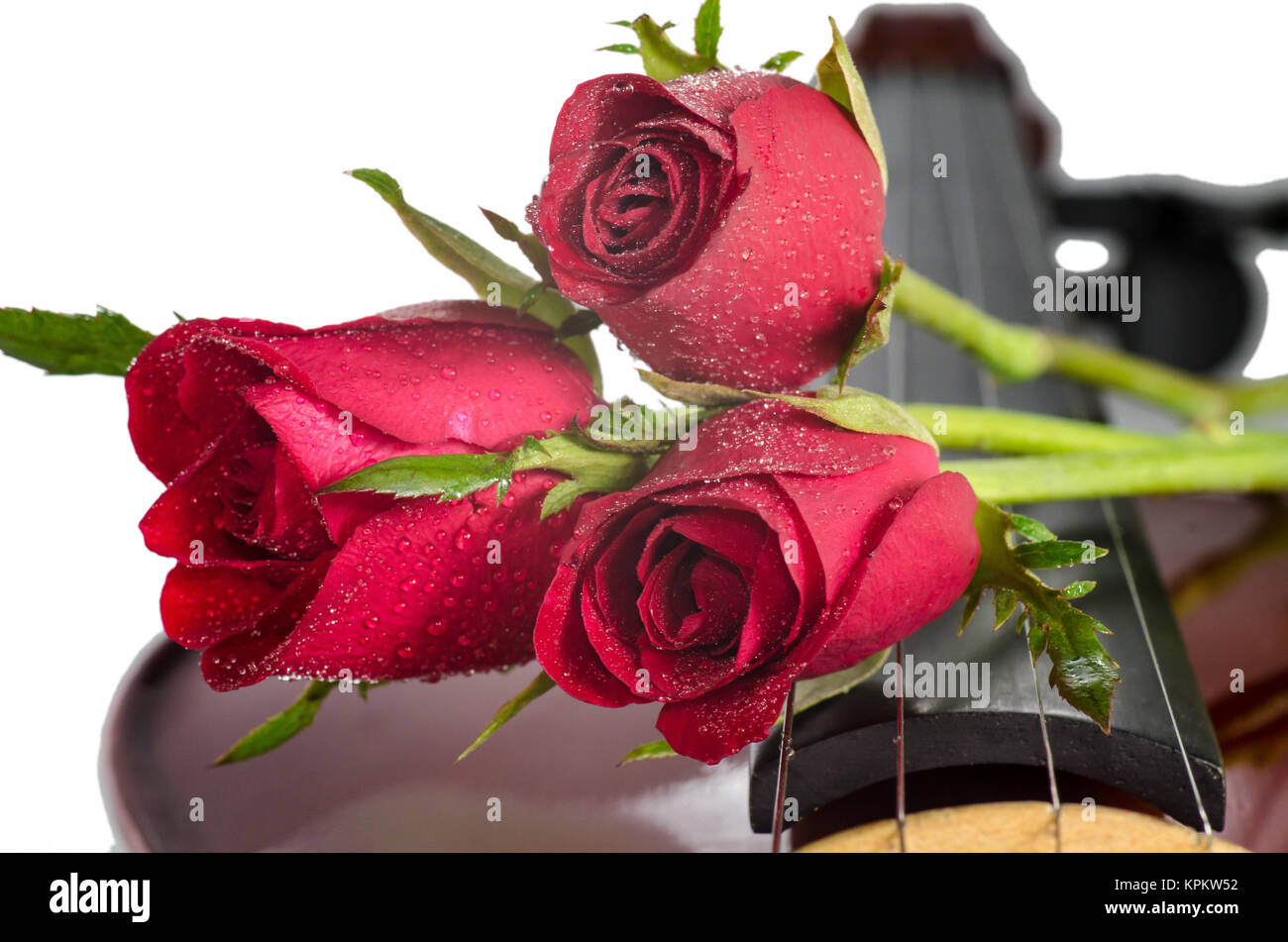 Violin and red roses Stock Photo - Alamy