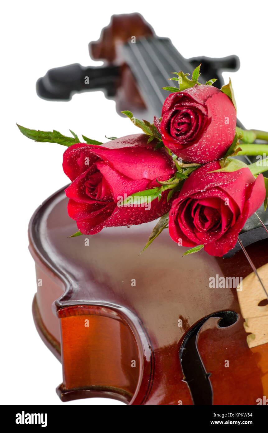 Violin and red roses Stock Photo - Alamy