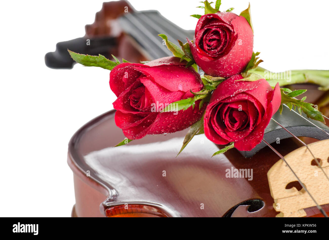 Violin and red roses Stock Photo - Alamy