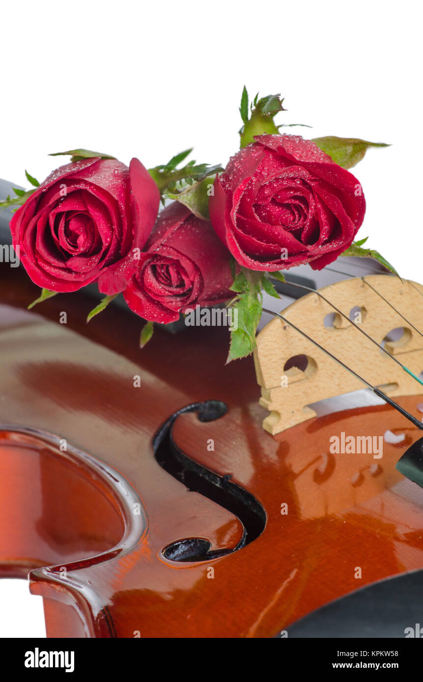 Violin flowers sheet hi-res stock photography and images - Alamy