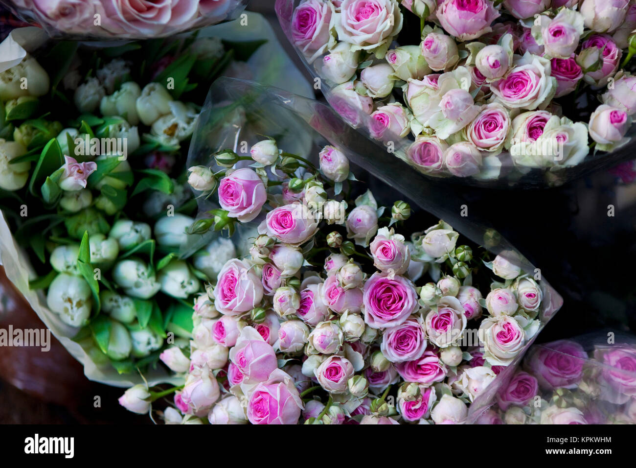 Roses and tulips Stock Photo - Alamy