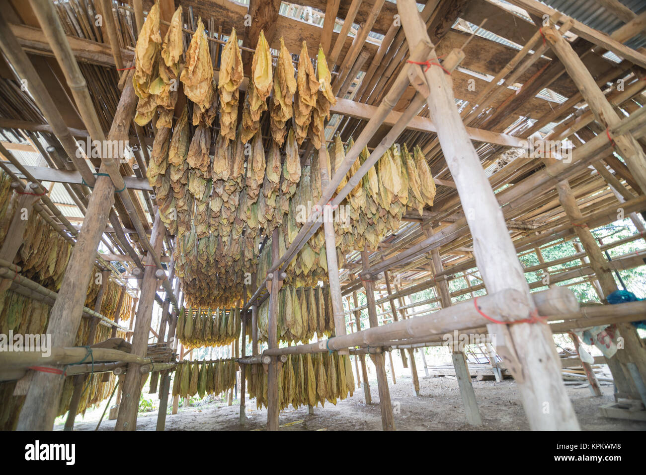 Tobacco curing hi-res stock photography and images - Alamy
