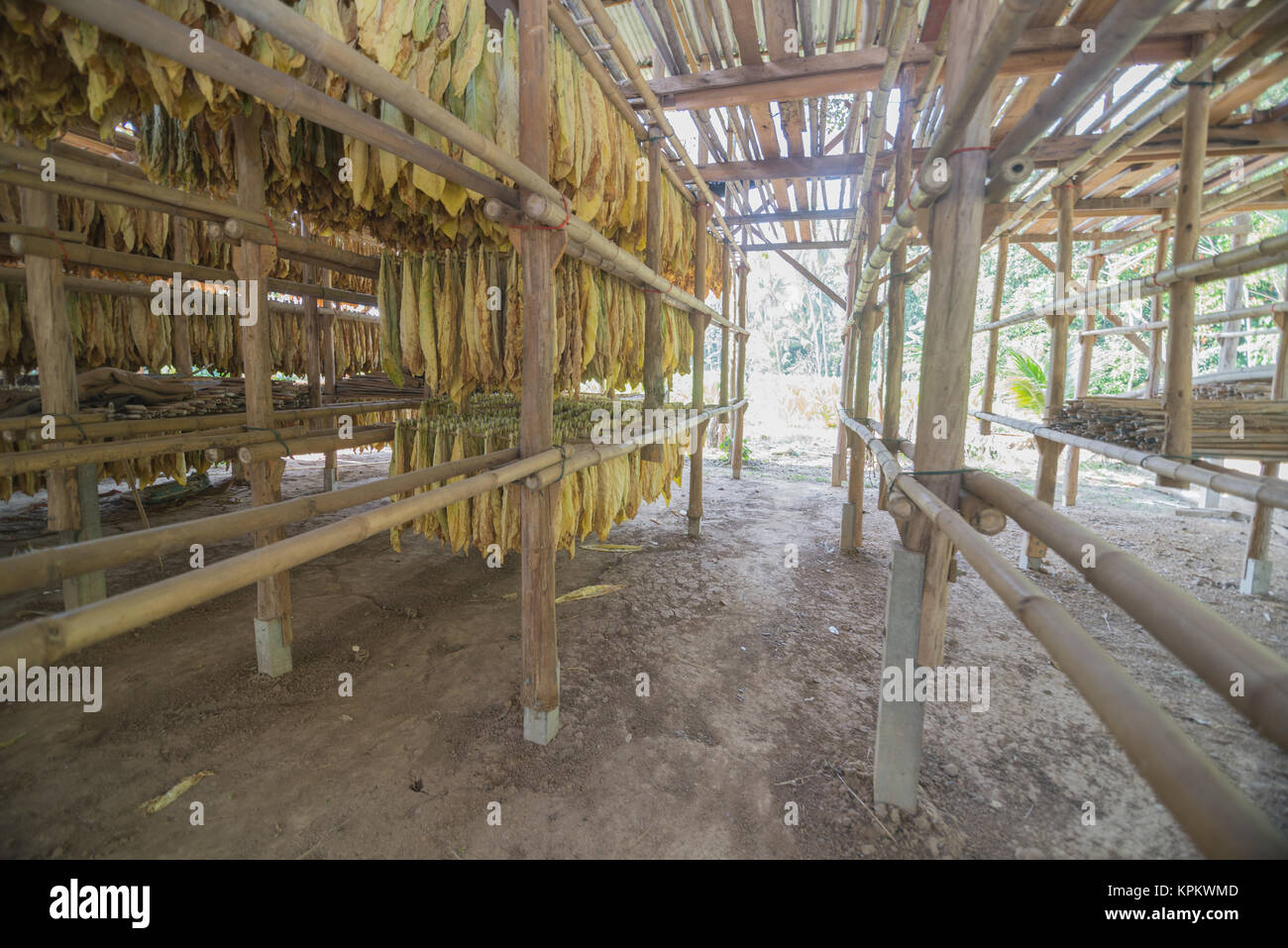 Tobacco curing barns Stock Photo - Alamy