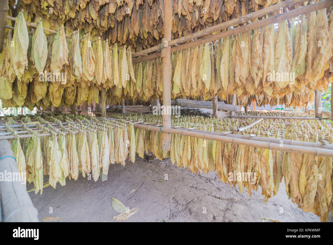 Tobacco Curing High Resolution Stock Photography and Images - Alamy