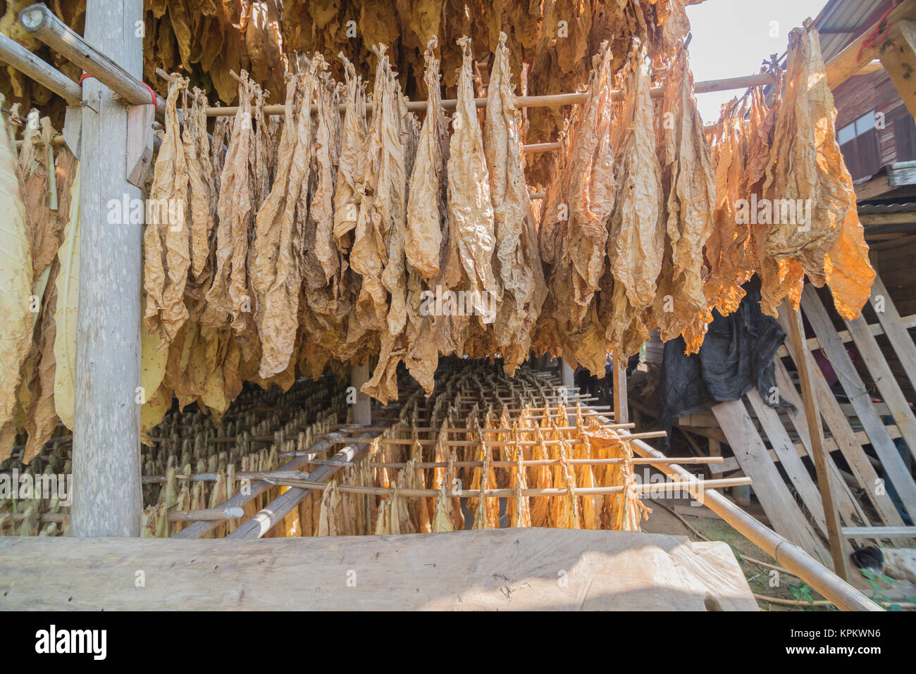 Tobacco curing barns Stock Photo - Alamy