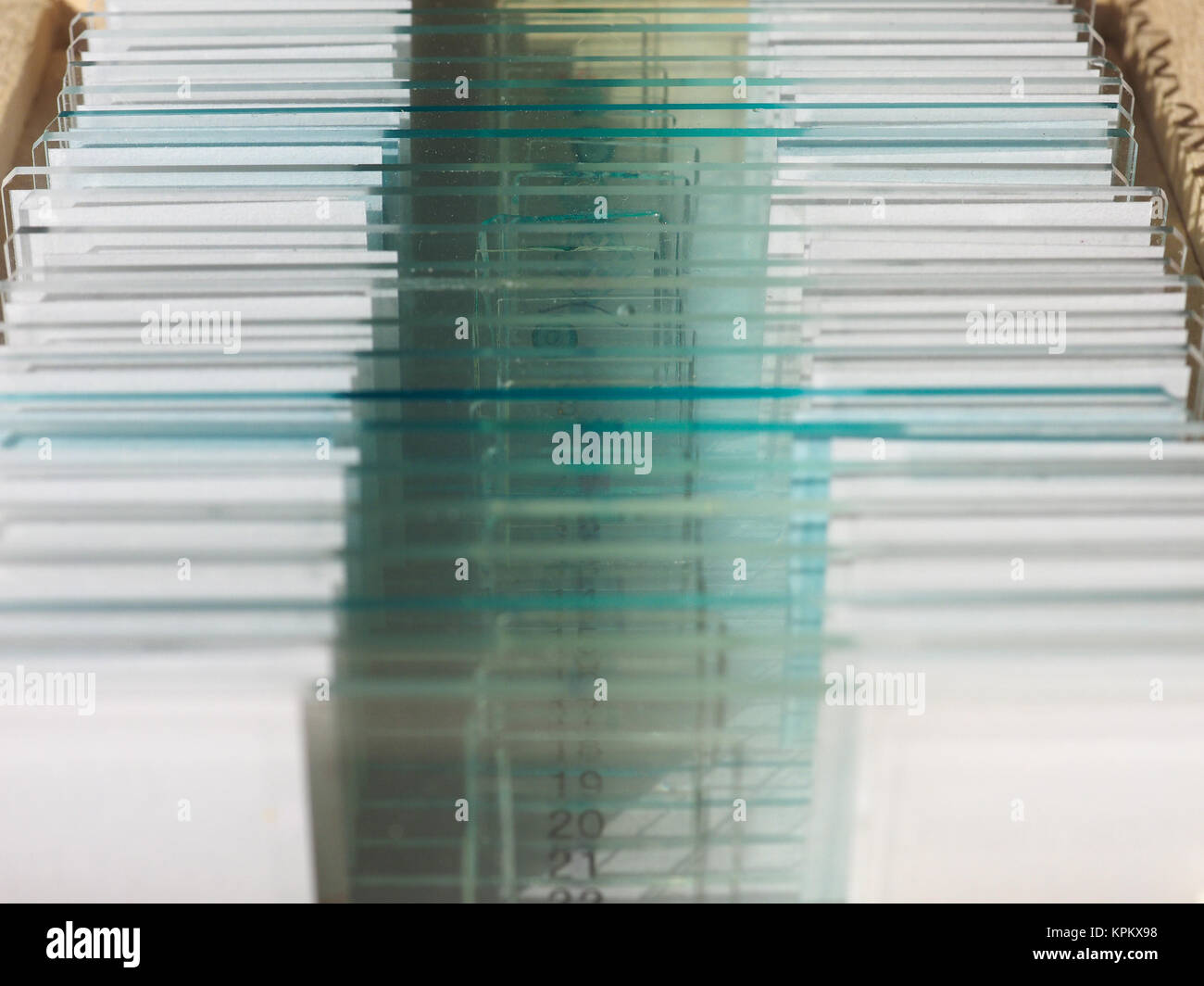 Slide for optical microscope Stock Photo - Alamy