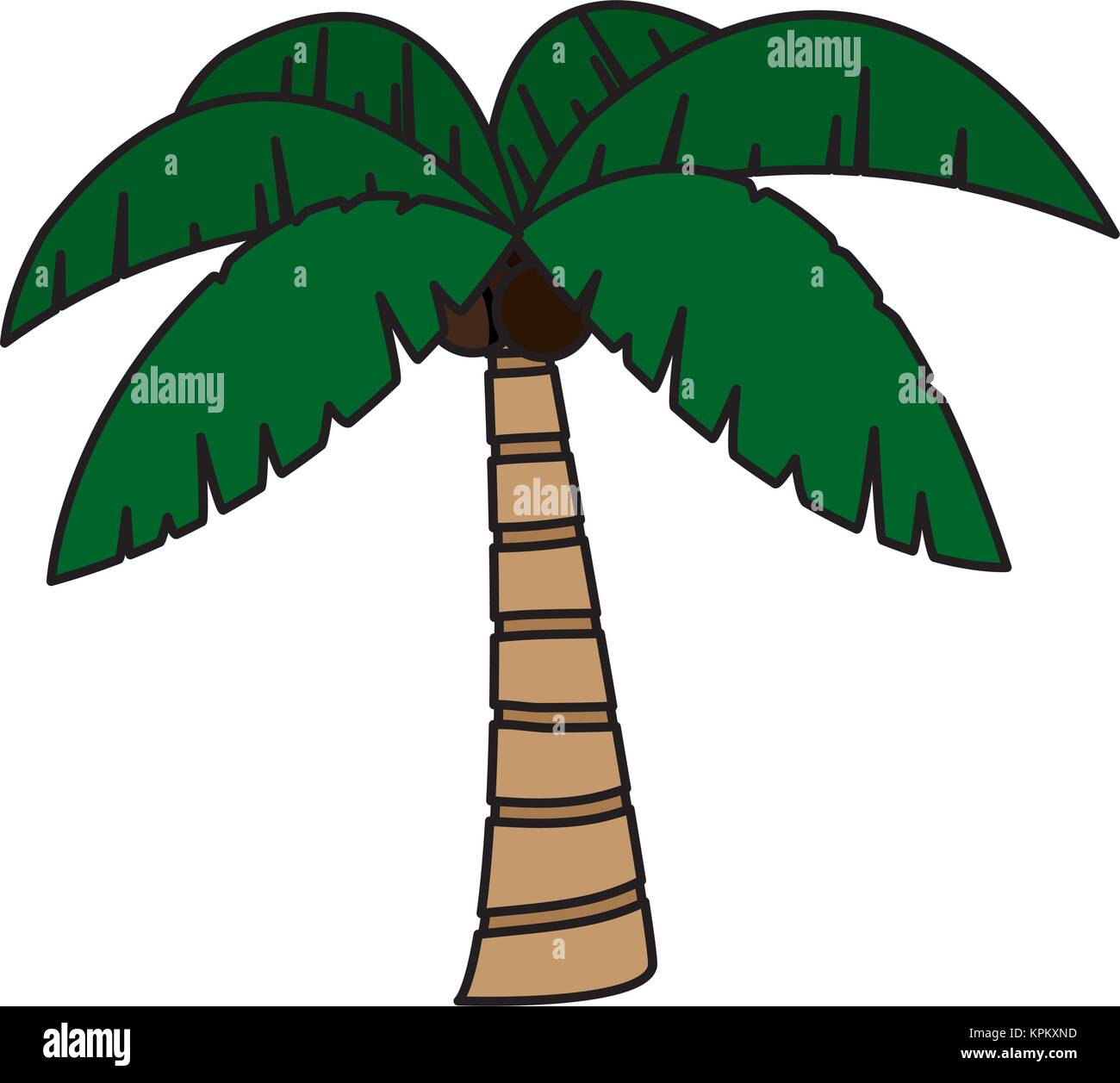 Isolated palm tree design Stock Vector Image & Art - Alamy