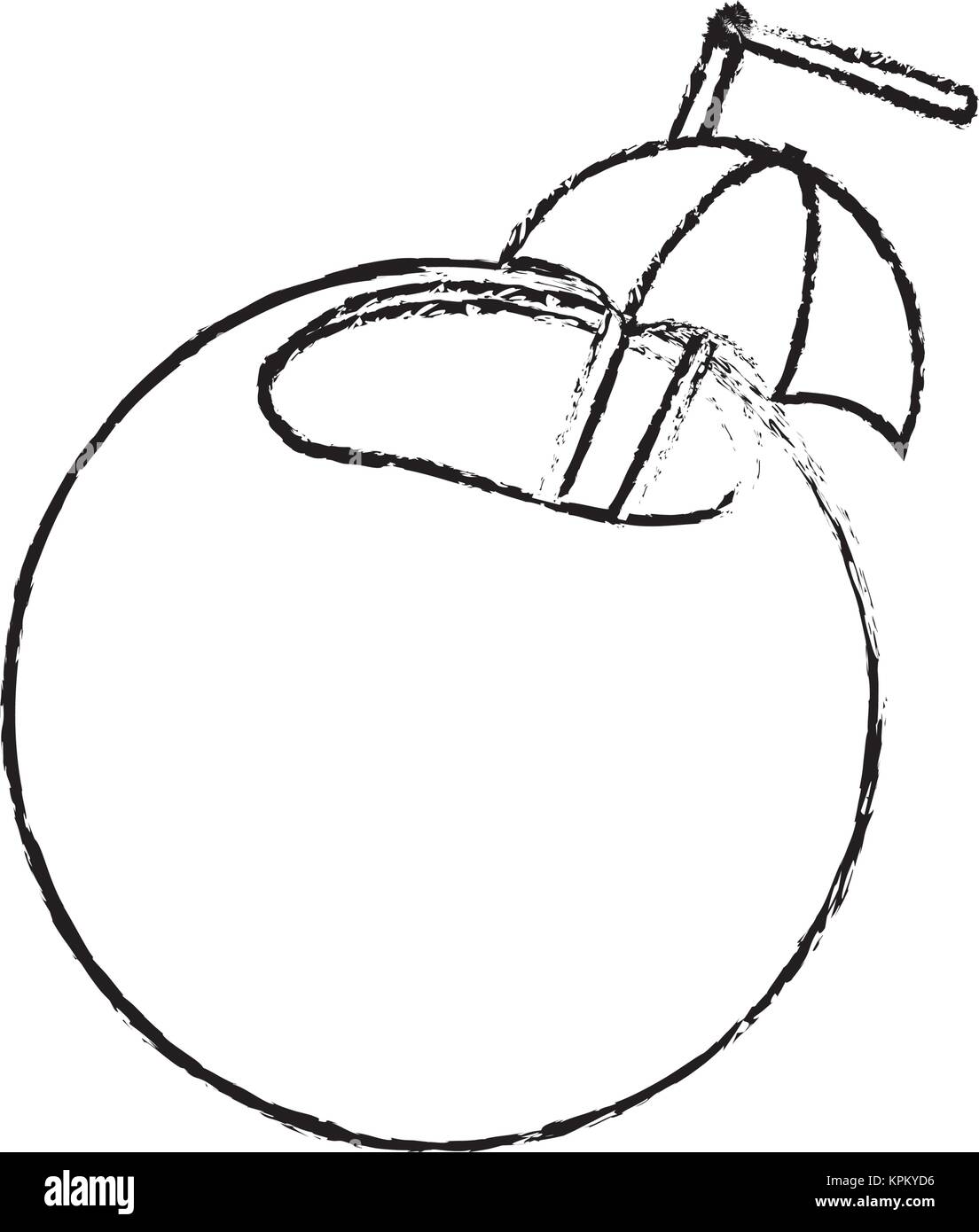 Isolated coconut design Stock Vector Image & Art - Alamy