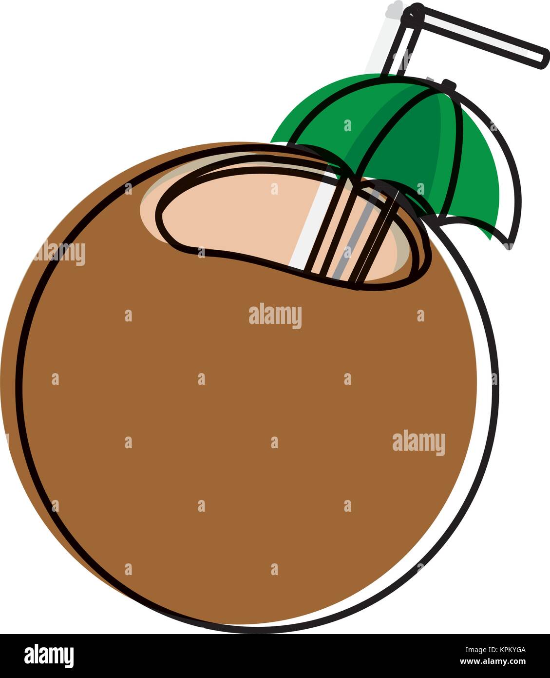 Isolated coconut design Stock Vector Image & Art - Alamy