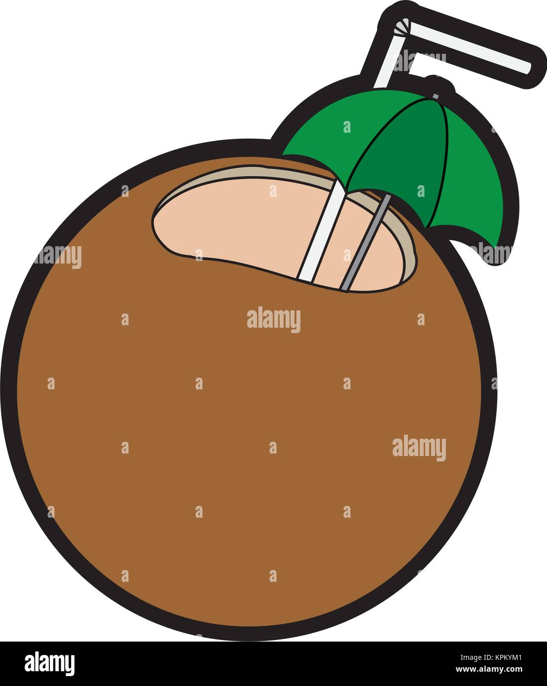 Isolated coconut design Stock Vector Image & Art - Alamy