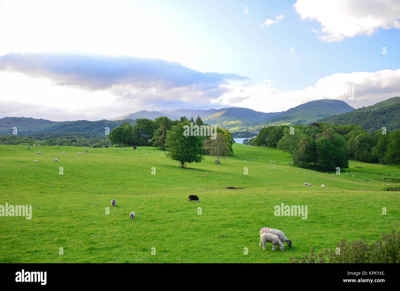 Countryside in the lake district Stock Photo - Alamy