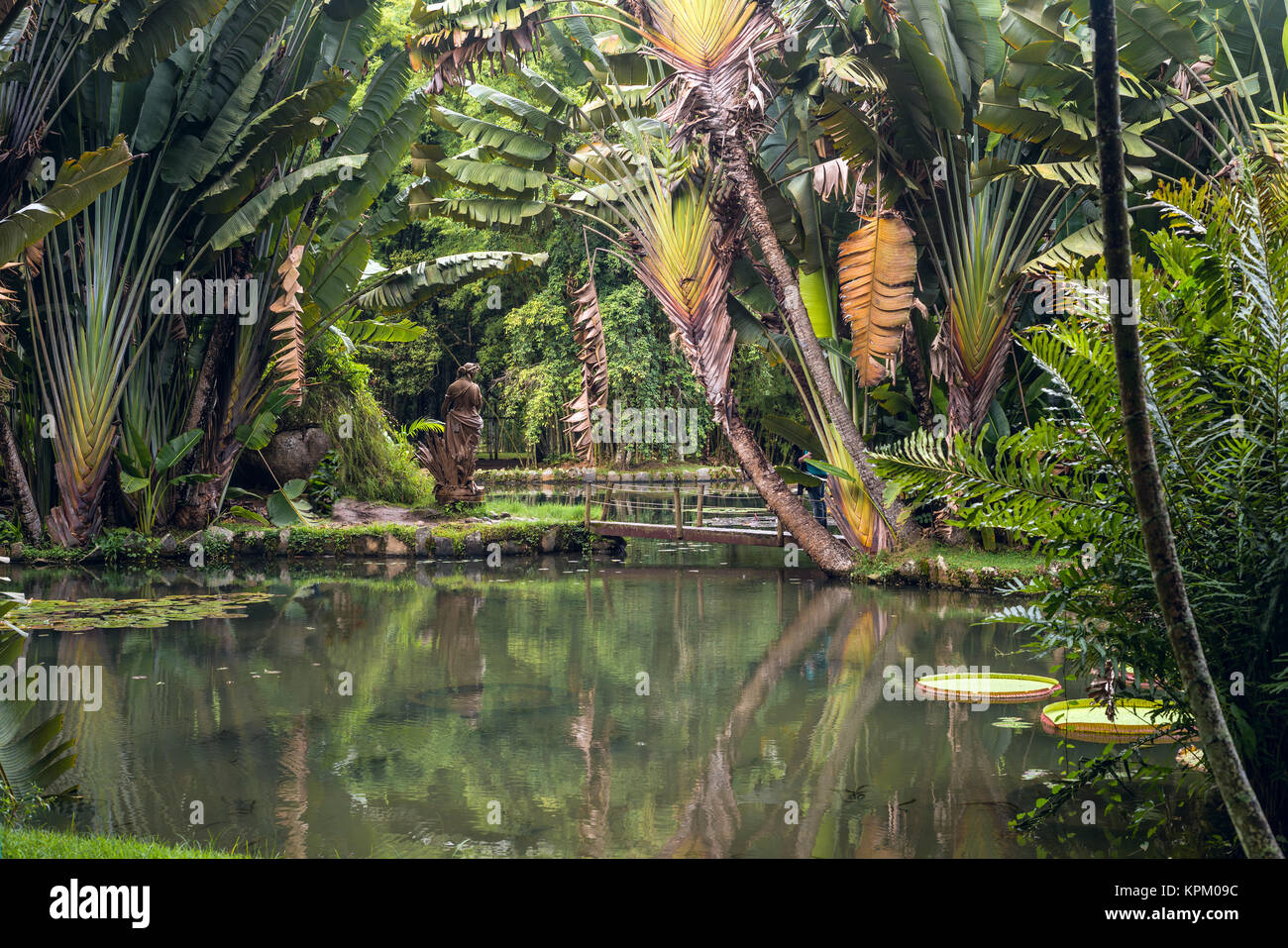 Botanical Garden of Rio de Janeiro, Brazil Stock Photo - Alamy