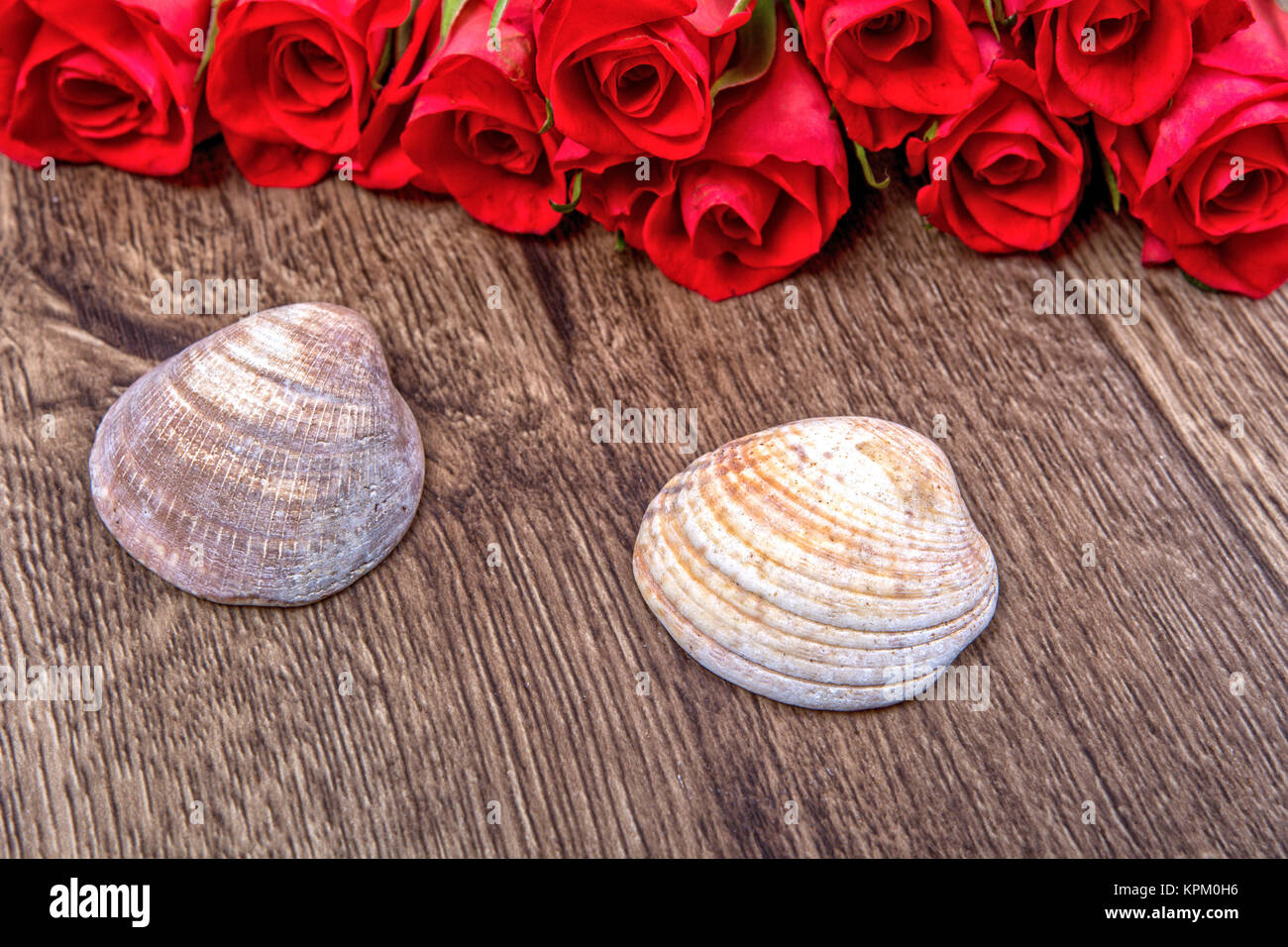 Two shells and roses on wooden background Stock Photo - Alamy