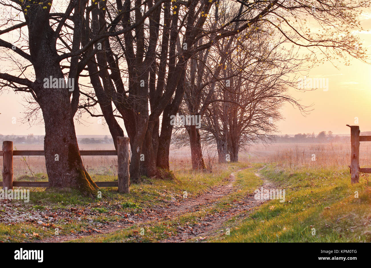 Backdrop countryside field road scenery hi-res stock photography and ...