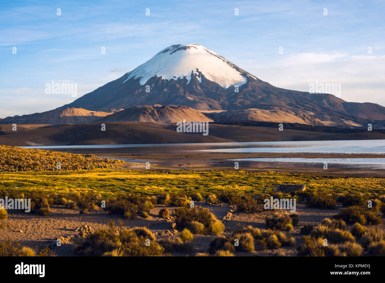 Snow capped Parinacota Volcano reflected in Lake Chungara, Chile Stock ...