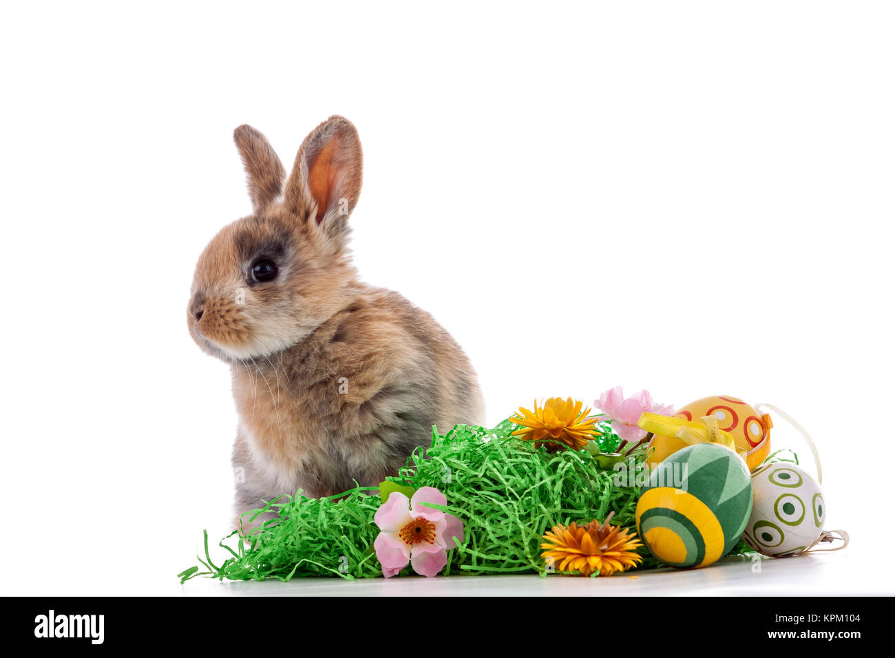 Colorful rabbit with Easter eggs on white background Stock Photo - Alamy