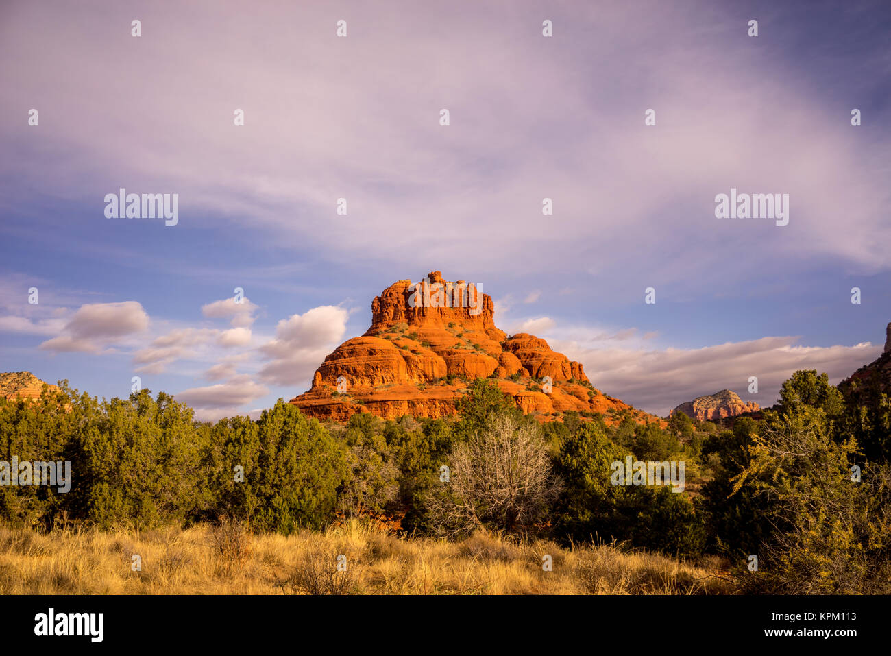 Prominent bell shape hi-res stock photography and images - Alamy